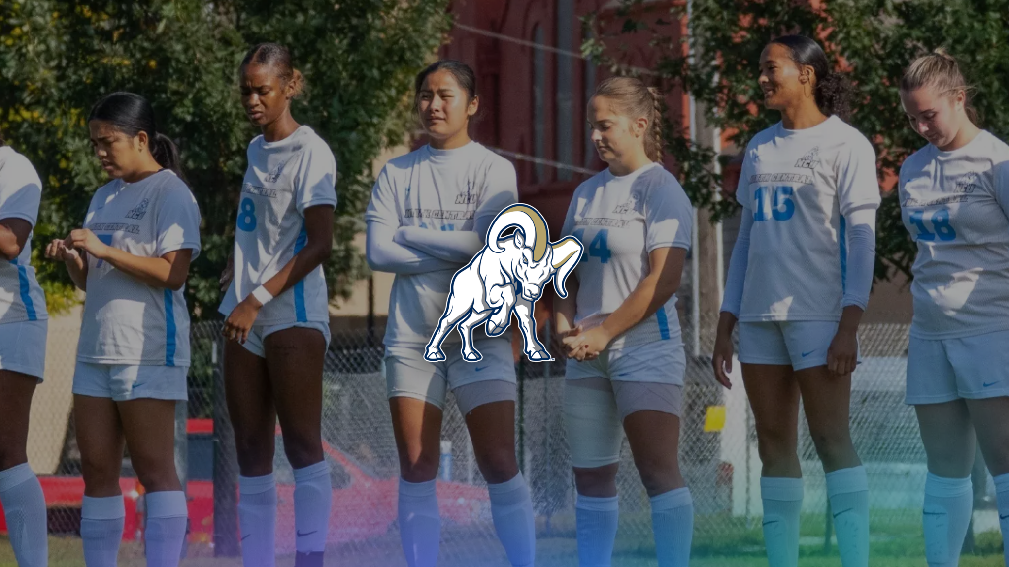 Athlete Management System | Teamworks